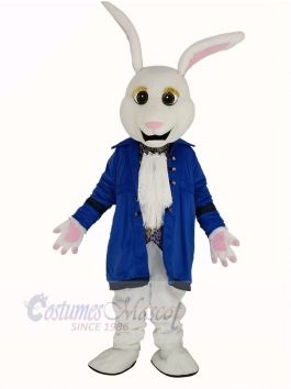 custom made mascot, school mascot costume, bunny rabbit mascot costume ...