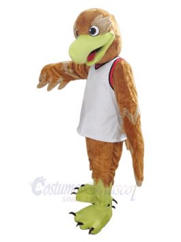 custom made mascot, school mascot costume, hawk mascot costume adult,